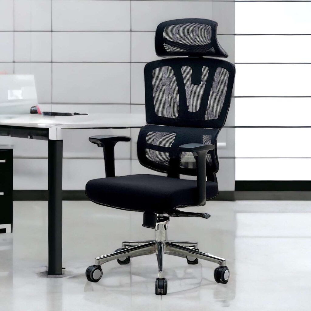 Orthopedic Executive Chair - Furniture Mart - Office seats
